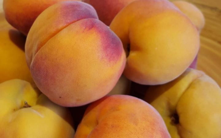 Peach Hiawatha