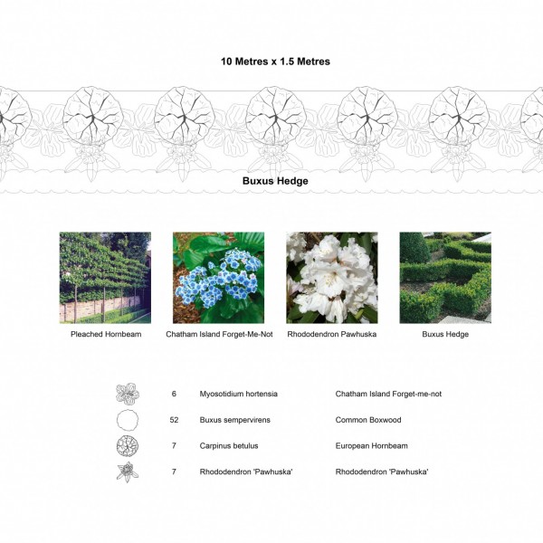 Flat Packs - Plant Plans