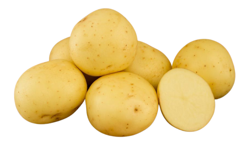Potato - Nadine